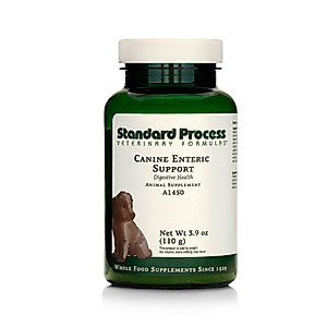 Standard Process Canine Enteric Support - Digestive System Support for Dogs - Nutritional Dog Supplement for Gut Health Support - Canine Supplement Formula to Aid Healthy Digestion - 110 g