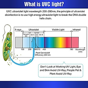 Qualirey 2 Pack UV Germicidal Light Bulb with Ozone, 25 Watt Replacement UVC Lamp E27 110V, UV Disinfection Light Bulb for Basement Bedroom Kitchen to Kill Germs, Bacteria, Kill Mites