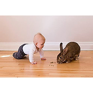 CZ Grain Premium Rabbit Pellets for Feeding - All Natural Adult Rabbit Pellets (5 Pounds)