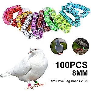 Set of 100 Dove Ring 2023 Aluminum Bird Rings Leg Bands Multicolor Racing Pigeon Foot Ring Leg Ring Canary with Number, anillos para palomas for Cockatiels, Parakeets, Parrots