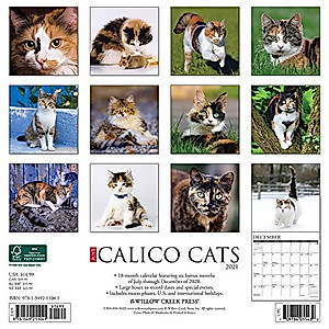 Just Calico Cats 2021 Wall Calendar