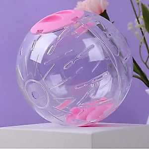 Hamster Ball Clear Plastic Sport Ball for Hamster Running Exercise Ball with Stand Small Pet Rodent Guinea Pig Mice Gerbil Jogging Ball Toy (16cm/6.3inch, Pink)