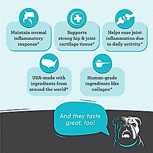 Hip & Joint Supplement for Dogs, 33% More 120 Soft Mobility Chews Glucosamine Chondroitin, Collagen, Turmeric, Hyaluronic Acid, Flaxseed, Vitamin C & E, for Small & Large Breeds, Vet Recommended