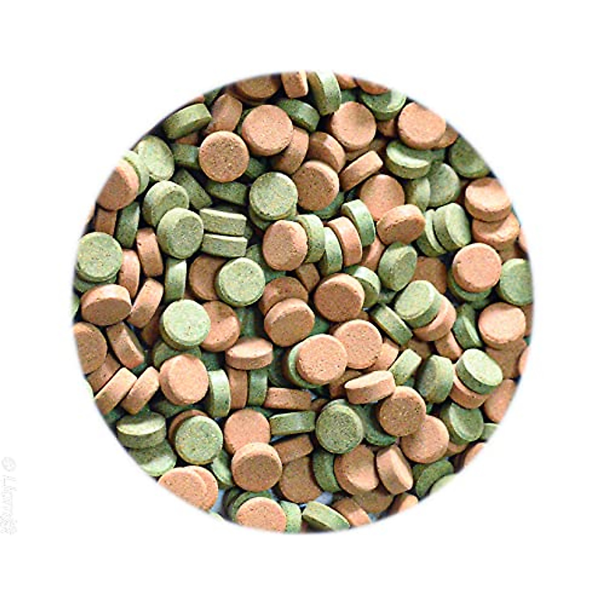 Premium Tropical Fish Food Tablets- Compare to Sera O-Nip! - Stick On Glass Or Sink To Bottom Tablets 4.58oz 250ml - Sticks On Aquarium Glass for Fun with All Types of Fish! - Pellet Fish Food-