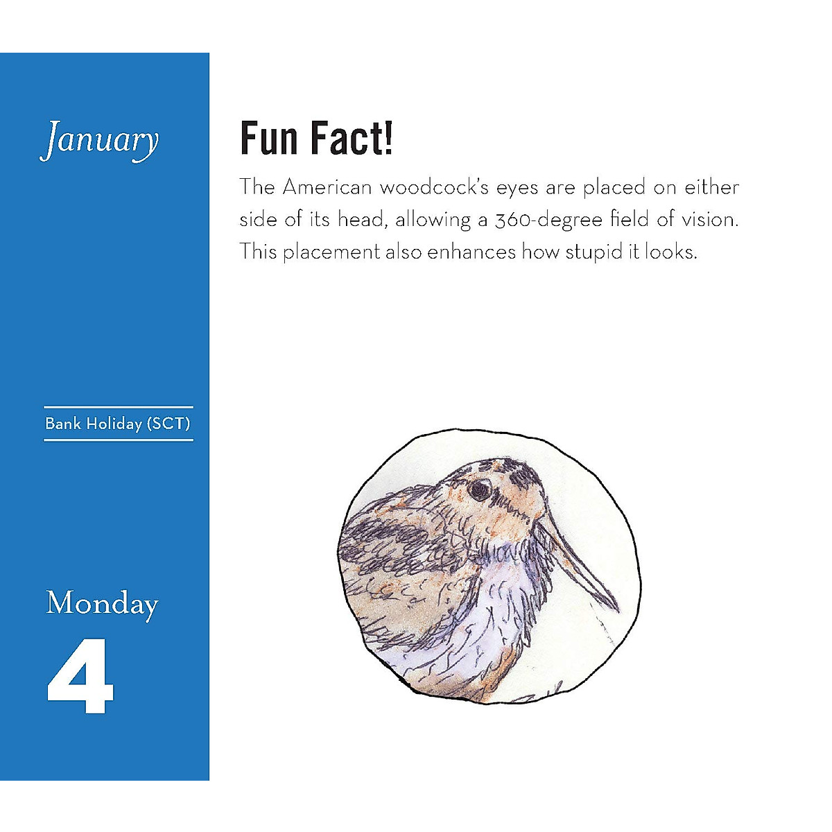 Dumb Birds of North America 2021 Daily Calendar: (One Page a Day Calendar of Funny Bird Facts, Humor Daily Calendar about Birds with Bird Artwork)