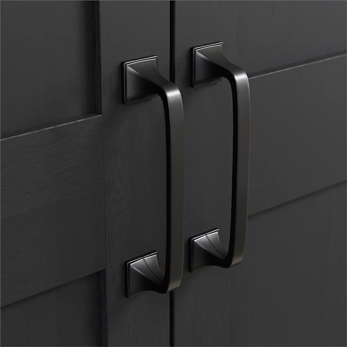 Sauder Engineered Wood 2-Door Storage Cabinet in Raven Oak Finish