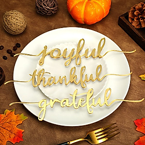 Marsui 12 Pieces Thanksgiving Acrylic Cutouts 6 Patterns Thankful Plate Sign Place Cutouts Grateful Blessed Gather Fall Plate Decors for Thanksgiving Table Decor Home Party(Vivid Style,Gold)