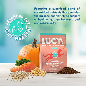 Lucy Pet Products Formulas for Life - Sensitive Stomach & Skin Dry Cat Food, All Breeds & Life Stages - Salmon, Pumpkin, & Quinoa, 4 LB Bag