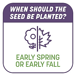 Pennington Smart Patch Dense Shade Mix 10 lb