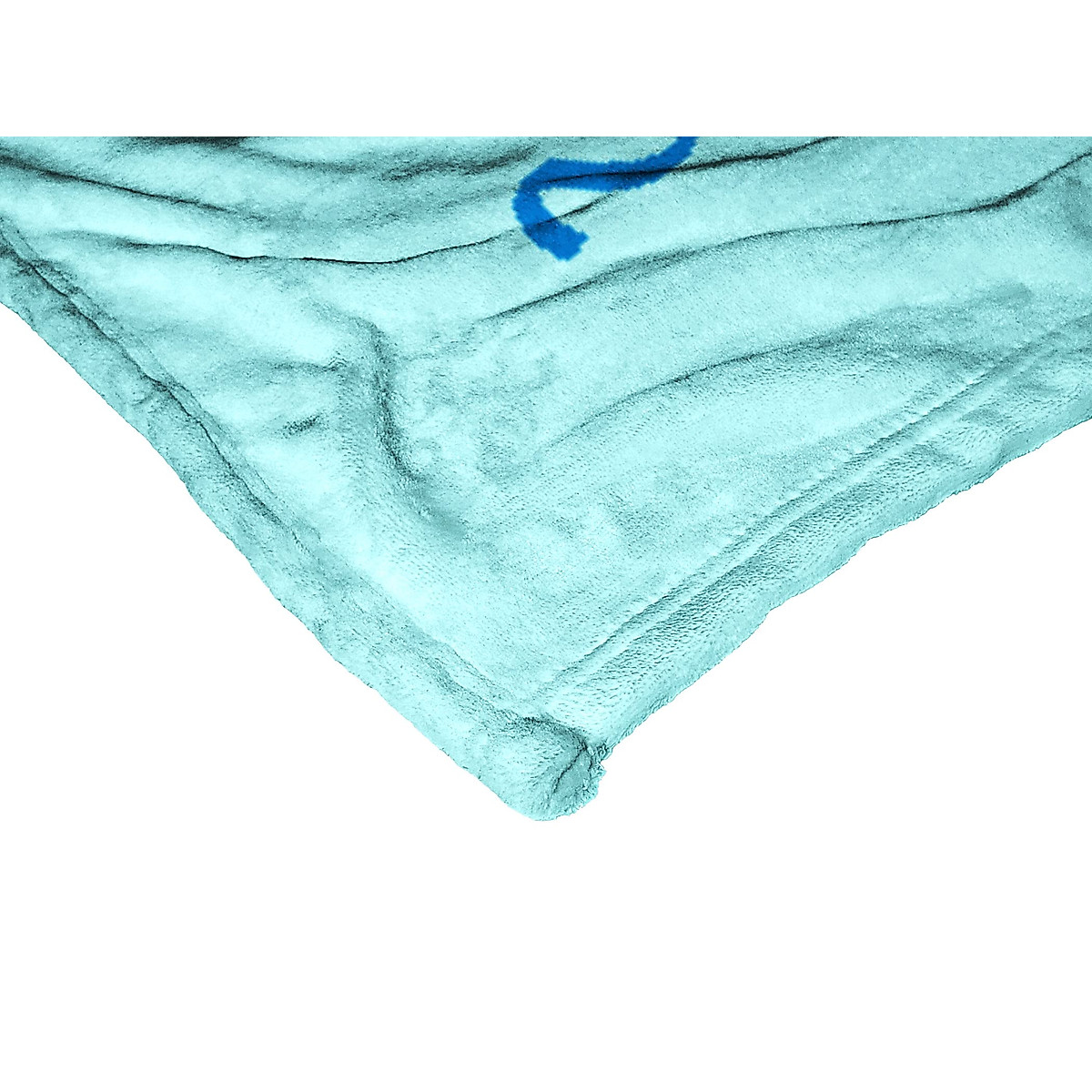 Northwest Disney 100 Silk Touch Throw Blanket, 50" x 60", Years of Wonder