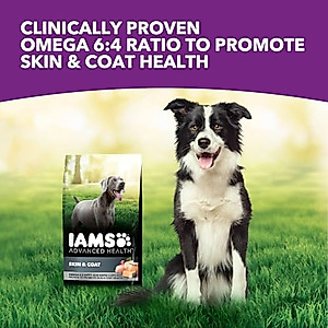Iams Advanced Health Skin & Coat Adult Dry Dog Food Chicken and Salmon Recipe, 6 lb. Bag