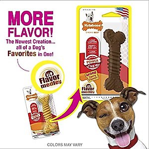 Nylabone Dura Chew Power Chew Textured Bone Flavor Medley Small/Regular (1 Count)