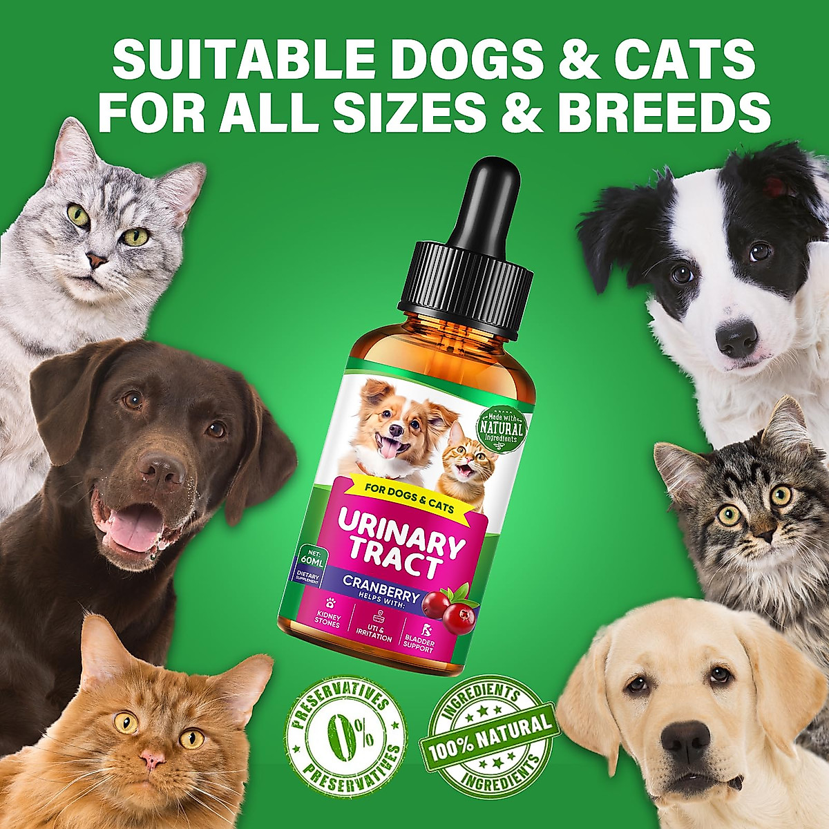 Fancy Pets Cat & Dog Urinary Tract Infection Treatment, Natural UTI Care Drops, Kidney and Bladder Supplement, Prevention Incontinence & Bladder Stones, 60ml (2-AS-RT-UY)