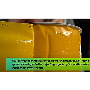 Giant Yellow Sticky Traps - Tape Roll, 30cm x 100m - Insect Sticky Traps Plant Traps for Flying Insects, Fruit Fly, gnats Lantern Flies, for Garden Plant Outdoor/Indoor
