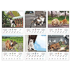 そとねこ (インプレスカレンダー2022)