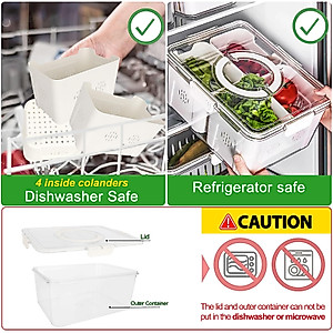 shopwithgreen Fruit Storage Containers for Fridge with Lid and Handle, Portable Fresh Produce Saver, Food Box Container with 4 Removable Colanders for Berry, Vegetable, Refrigerator Organizer Bins