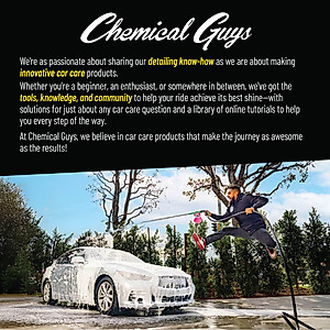 Chemical Guys CWS_104_16 Concentrated Bug and Tar Remover Car Wash Soap (Works with Foam Cannons, Foam Guns or Bucket Washes) Safe for Cars, Trucks, Motorcycles, RVs & More, 16 fl. Oz