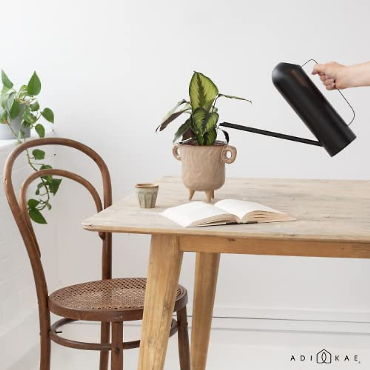 Indoor Watering Can with Long Spout - 50 Ounce Black Watering Can for Indoor Plants - Large Water Can for Plants - House Plant Water Can - Indoor Plant Watering Can