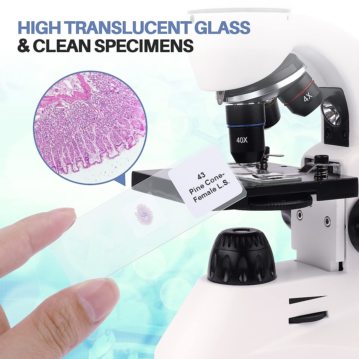 120Pcs Prepared Microscope Slides Animals Insects Plants Bacterial Sample Biological Slide Specimen for Kids Students Adults, for Science Study and Education