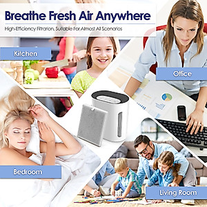 True HEPA Pure-Zone Air Purifier Replacement Filter Compatible with Pure Enrichment PureZone Air Purifier Filter and PureZone 3-in-1 Air Purifier PEAIRPLG, 2 H13 True HEPA Filter & 8 Extra Pre-Filter