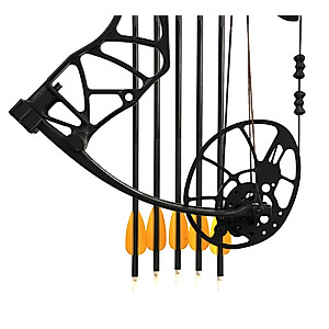 Bear Archery Legit Ready to Hunt Extra Compound Bow Package for Adults & Youth, Right Hand, Shadow