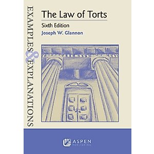 Examples & Explanations for The Law of Torts (Examples & Explanations Series)