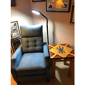 Brightech Litespan - Bright LED Floor Lamp for Crafts and Reading, Estheticians' Light for Lash Extensions, Adjustable Gooseneck Standing Lamp for Living Room, Bedroom and Office - Jet Black