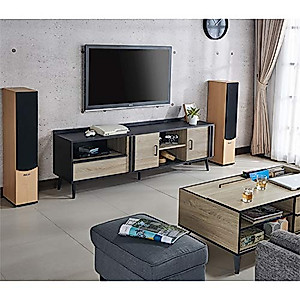 Furniture of America Trubico Mid-Century Wood Storage 70-Inch TV Stand in Black