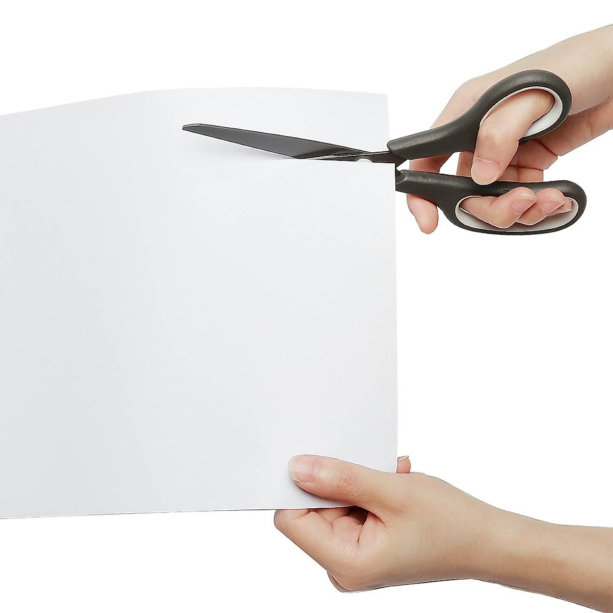 CCR Scissors 8 Inch Soft Comfort-Grip Handles Sharp Titanium Blades, 2-Pack