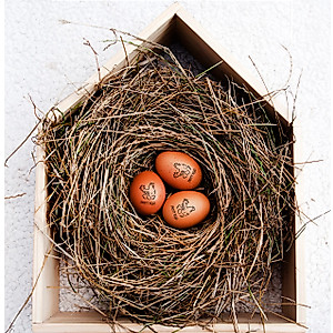 Egg Stamps For Fresh Eggs, Flat Rubber Stamp for Eggs, Chicken EGG Stamp for fresh eggs, Egg Stamps, Custom Egg Stamp, Egg Labels, Mini Egg Stamp, Farm Stamp, Eggs Stamp