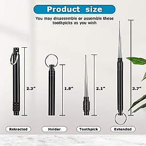 CHENGU 5 Pieces Portable Titanium Toothpicks Metal Pocket Toothpick with Protective Holder Stainless Steel Toothpick Reusable Toothpicks for Picnic Camping Traveling (Black)