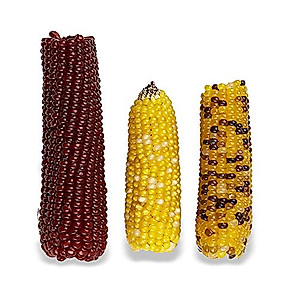 Vitakraft Mini-Pop Corn Cob Bird Treat 6 Ounce (Pack of 1)