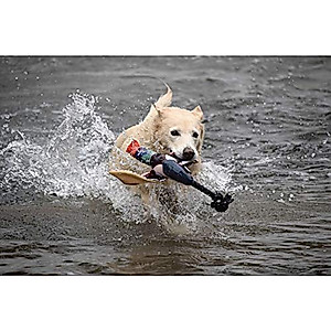 Spunky Pup, Fly & Fetch Duck (2041)