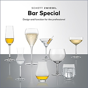 Schott Zwiesel Tritan Crystal Siza Port Wine Glass, 7.7-Ounce, Set of 6