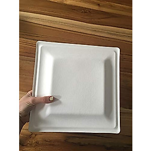 Susty Party 10-Inch Compostable Square Plates (50-Count), Sugarcane Heavy Duty Disposable Biodegradable Plate for Dinner, White