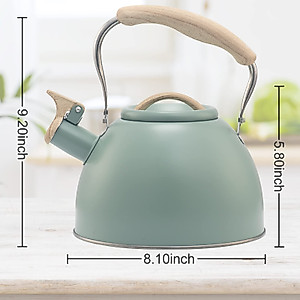 3.2 Quart Whistling Tea Kettle for Stove Top Stainless Steel Tea Pots With Wood Pattern Anti-slip Handle, Green…