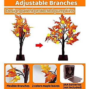 [ Timer ] 2 Pack 22 Inch Prelit Lighted Maple Tree Fall Halloween Decor Fall Tree 48 LEDs Battery Operated 12 Exclusive Patent Pumpkins 12 Acorns Orange Red Maple Tree Thanksgiving Decor Indoor Home
