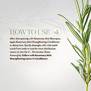 Mielle Organics Rosemary Mint Strengthening Conditioner with Biotin, 12 Ounce