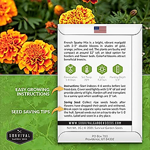 Survival Garden Seeds - French Sparky Marigold Seed for Planting - Packet with Instructions to Plant and Grow Large Tagetes Patula Flowers in Your Home Vegetable Garden - Non-GMO Heirloom Variety