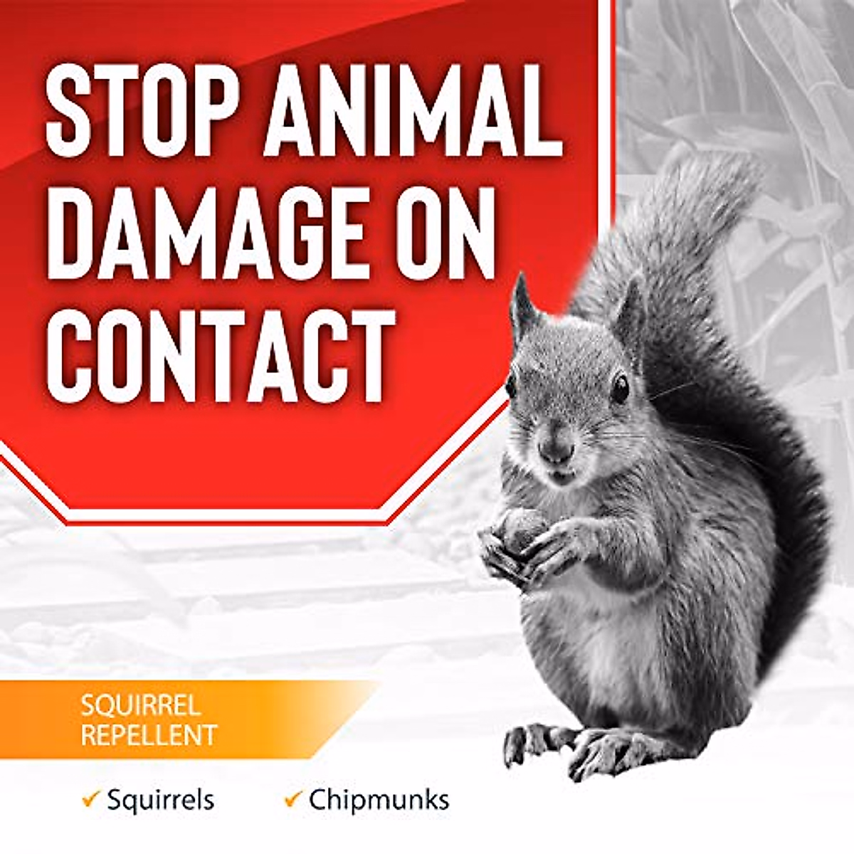 Messina Wildlife Squirrel Stopper Repellent - Safe & Effective, All Natural Food Grade Ingredients; Repels Squirrels and Chipmunks; Ready to Use, 15 oz. Spray Can