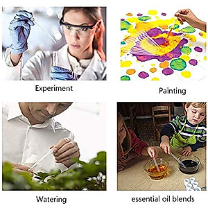 Transfer Pipettes 1000PCS Liquid Dropper Plastic Pasteur Disposable Graduated Pipetting Clear White (0.2)