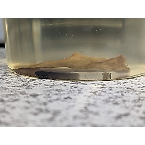 Josh's Frogs Dart Frog Tadpole Food (2 oz)