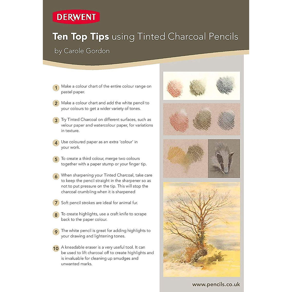 Derwent Charcoal Collection, Pack, 10 Count (2300675)