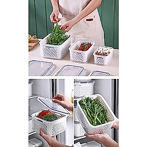 Phantom Chef Nesting Food Storage with Lids | 3 Sizes | Dishwasher & Microwave Safe | Food Grade BPA-FREE Safe | Perfect for Refrigerator Fridge Organizer | Portable & Stackable Design (Aqua)