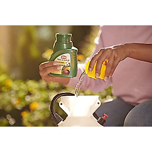 Ortho Tree & Shrub Fruit Tree Spray, 16-Ounce