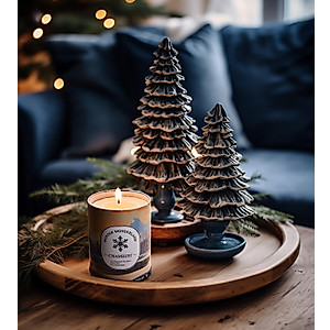 CHAMBERY Winter Wonderland Candle | Inspired by The Rocky Mountains in Premium Tin | Soy Wax with Lead-Free Cotton Wick | 55-Hour Burn | Festive Fragrance for The Season