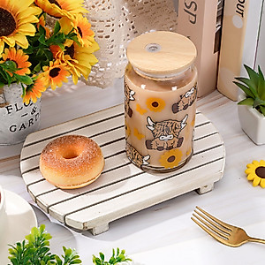 Whaline Highland Cow Iced Coffee Cup with Gift Box Brown Cow Sunflower Drinking Glasses Cute Beer Can Glass with Lid Straw Cleaning Brush for Home Office Women Gifts,16oz