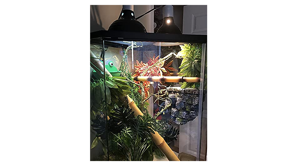 Frog Habitat with Suction Cups for Small Amphibians