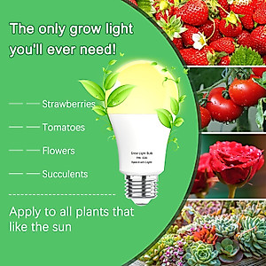 Wiyifada 6 Pack Full Spectrum Grow Light Bulbs,A19 Grow Lights for Indoor Plants,Dimmable E26 9W Grow Bulb Replace up to 100W,Plant Lights for Indoor Growing,Flowers,Indoor Greenhouse,Indore