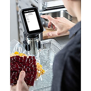 Sage Polyscience HydroPro™ Sous Vide Immersion Circulator, Stainless, 240V